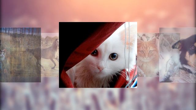 С Днем села Новая Усмань!