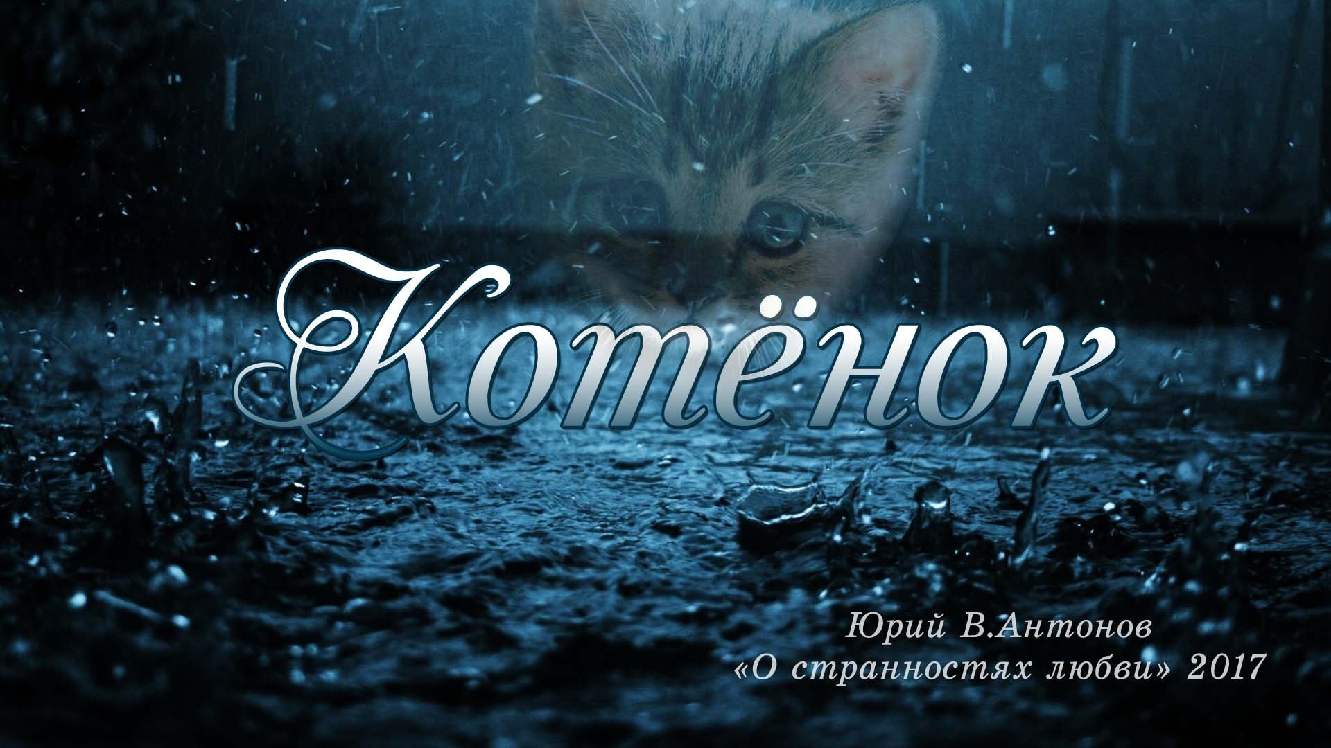 Юрий В.Антонов – «Котёнок», 2017