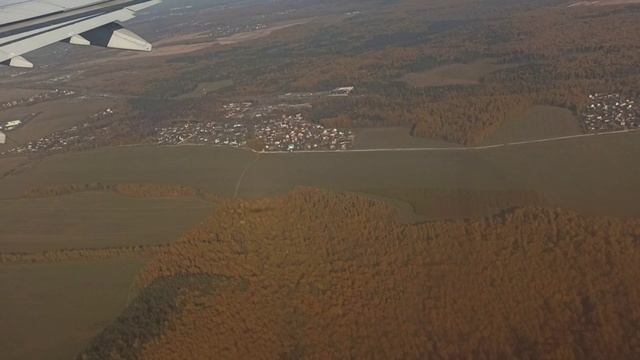 Перелет Москва (Домодедово) - Калининград (Храброво) на Airbus A321 Уральских авиалиний