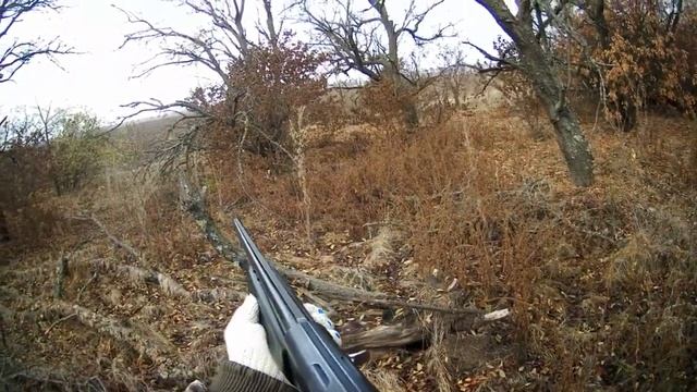 ЛУЧШИЕ МОМЕНТЫ - ОХОТЫ НА ЗАЙЦА (2020 - 2021).mp4