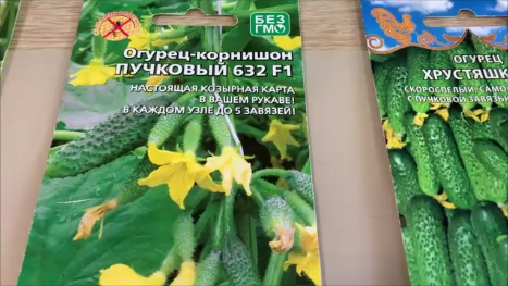 Надёжные и высокоурожайные семена Огурцов.  Сею на рассаду.