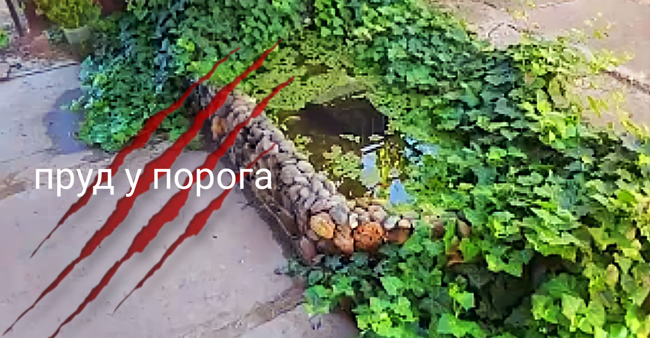 Мой прудовой аквариум 3.06.2021