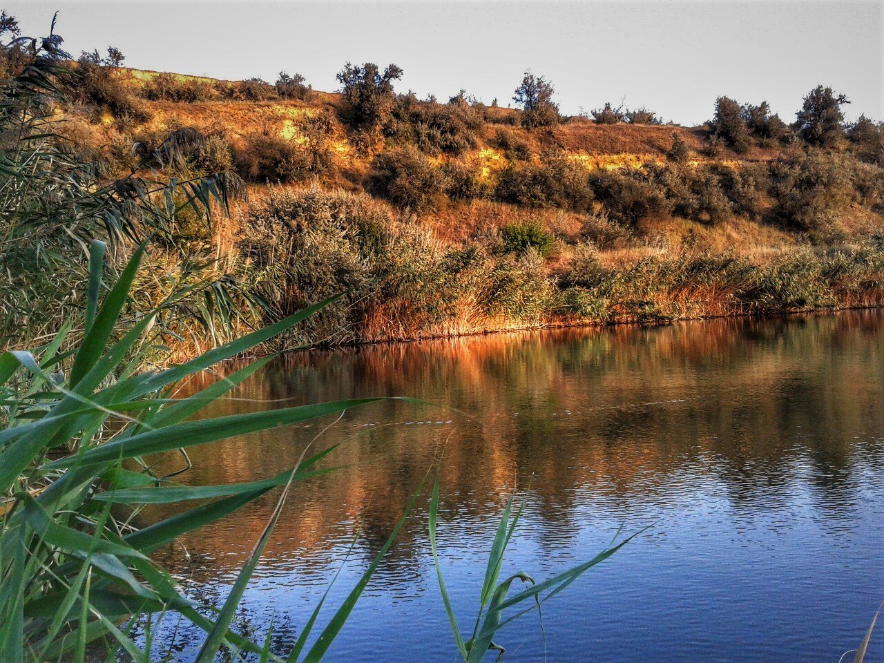 Прогулка выходного дня.