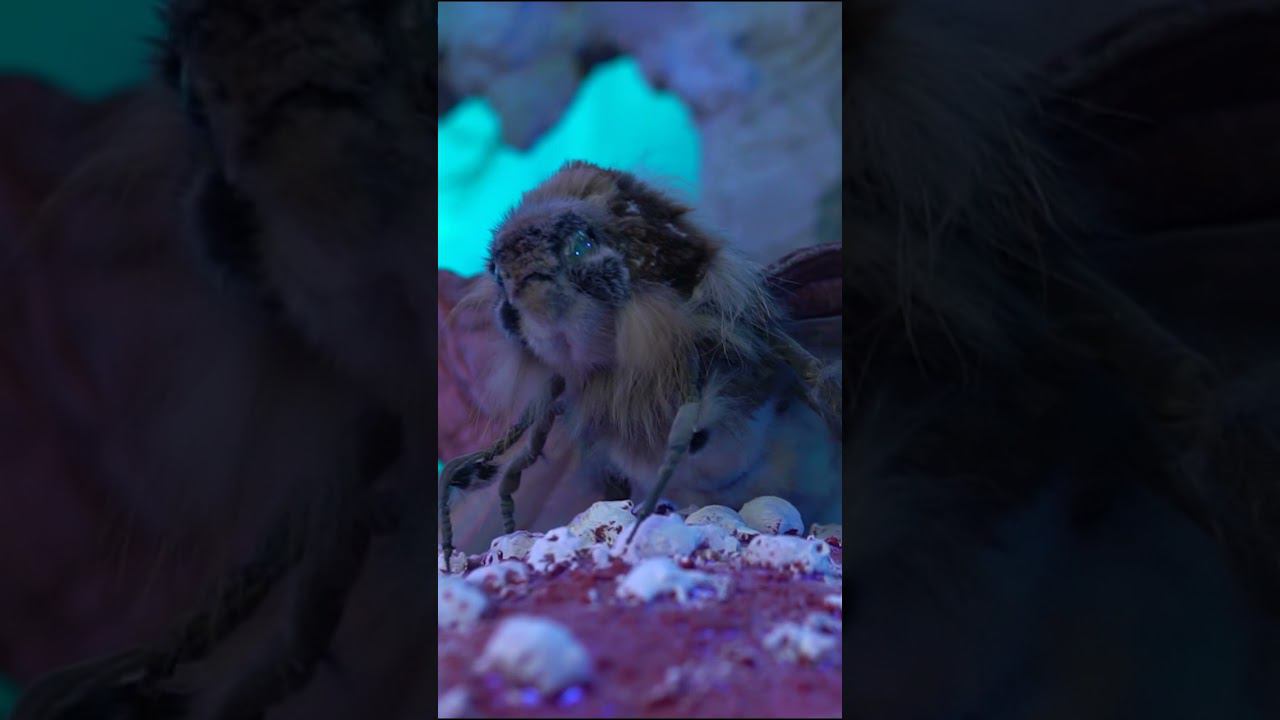 #Shorts Павильон студии "ТvоёКино". Локация СКАЗОЧНЫЙ ЛЕС.. Аренда для мероприятий и съемок.