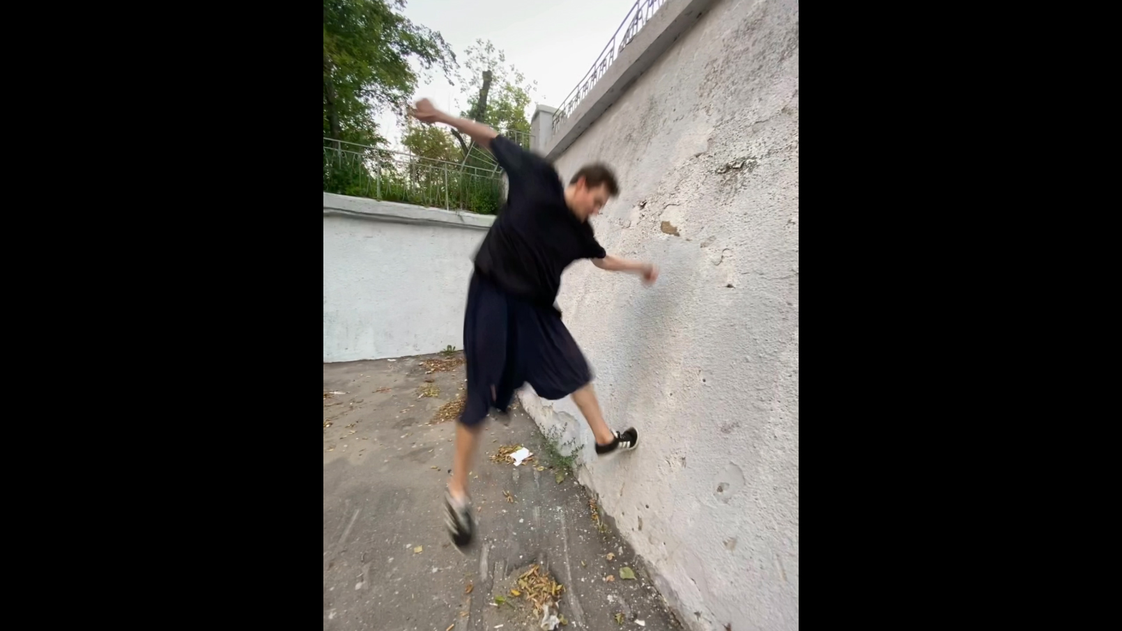 Лето 2023 | Внутренне боковое от стены | Арабское | Вебстер