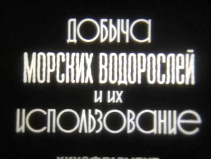Добыча морских водорослей и их использование