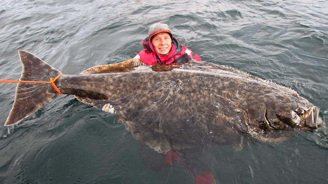 348.Трофеи 128.mp4