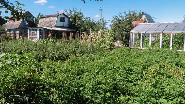 Дача Людмилы Ж