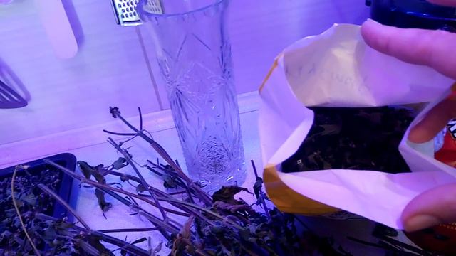 Как хранить пусстырник