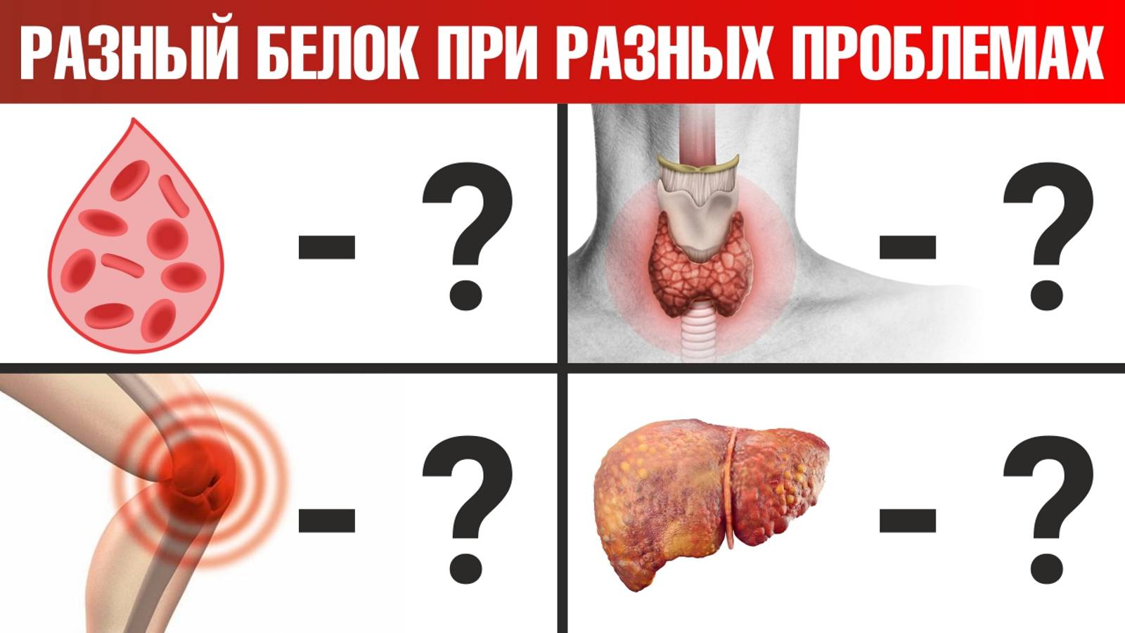 Какой вид белка нужен именно вам? Яйца? Мясо? Рыба?🤔