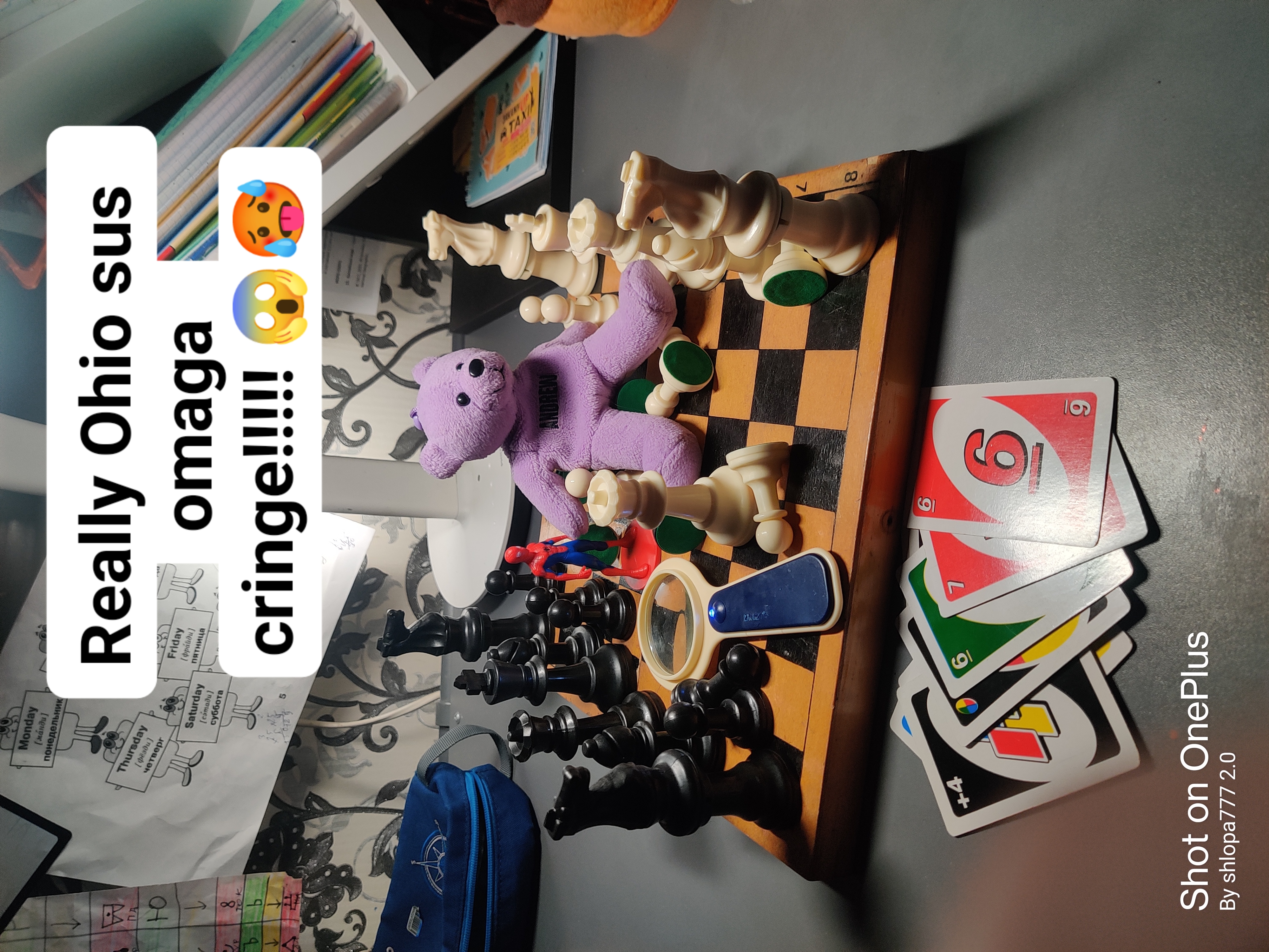 охио шахматы♟️