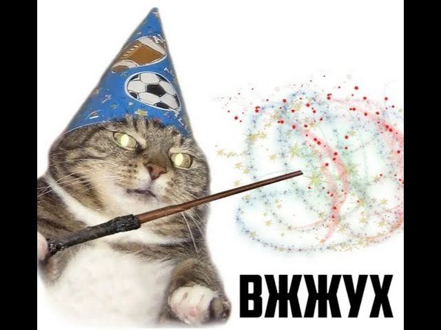 Гуманное прохождение Skyrim За кота-волшебника (3 - Завоевание Скайрима)