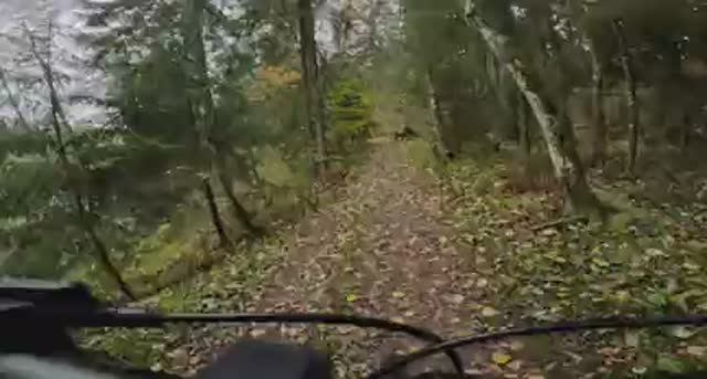 Вдоль реки Оредеж на велосипедах октябрь 2023