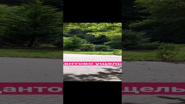 Дантово ущелье. Горячий Ключ.