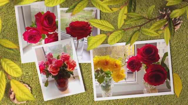 Моим любимым друзьям на память о дачном сезоне