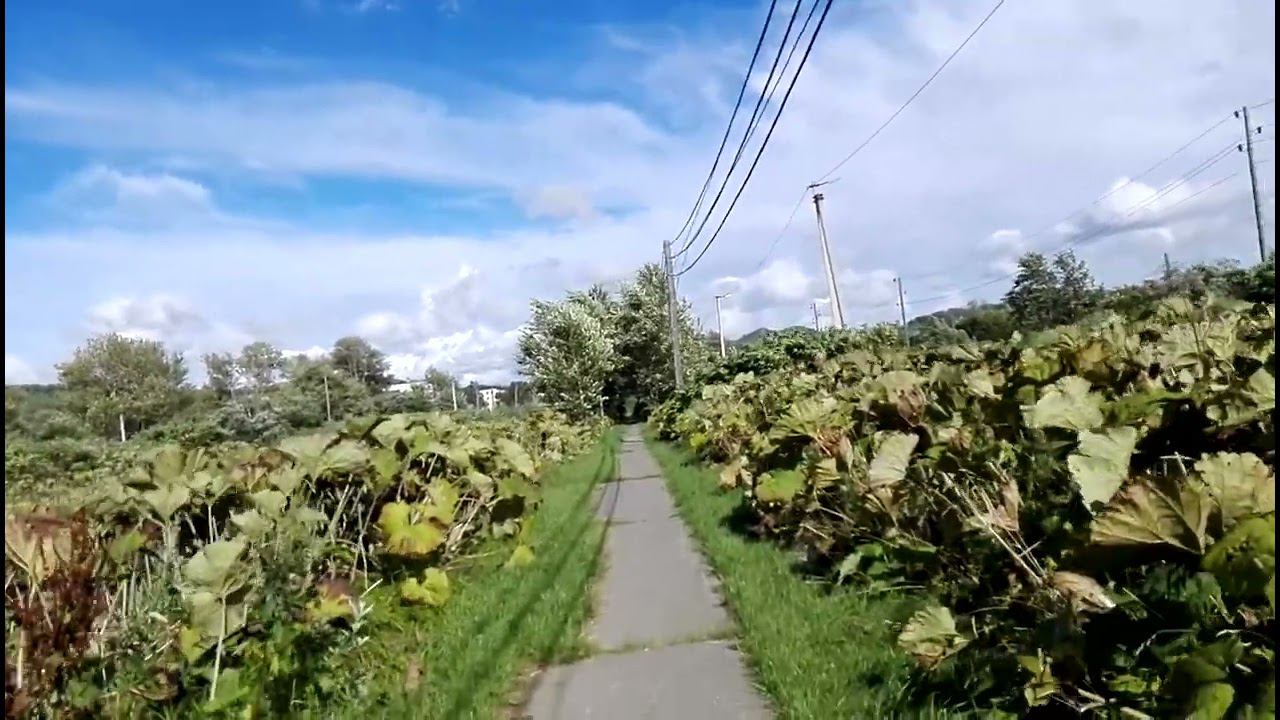 Как я помогла сама себе