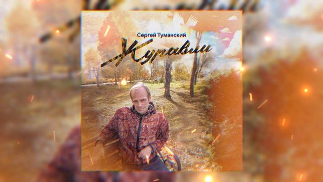 Журавли Евро-поп  от Сергея Туманского