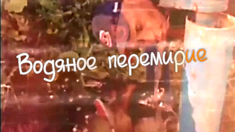 Водяное перемирие