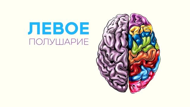 Видеоролик – Когда становится ясно, правша человек или левша?
