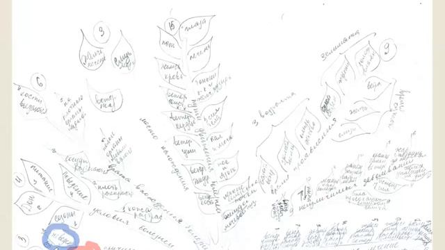 ствол дисбаланса, причины и условия