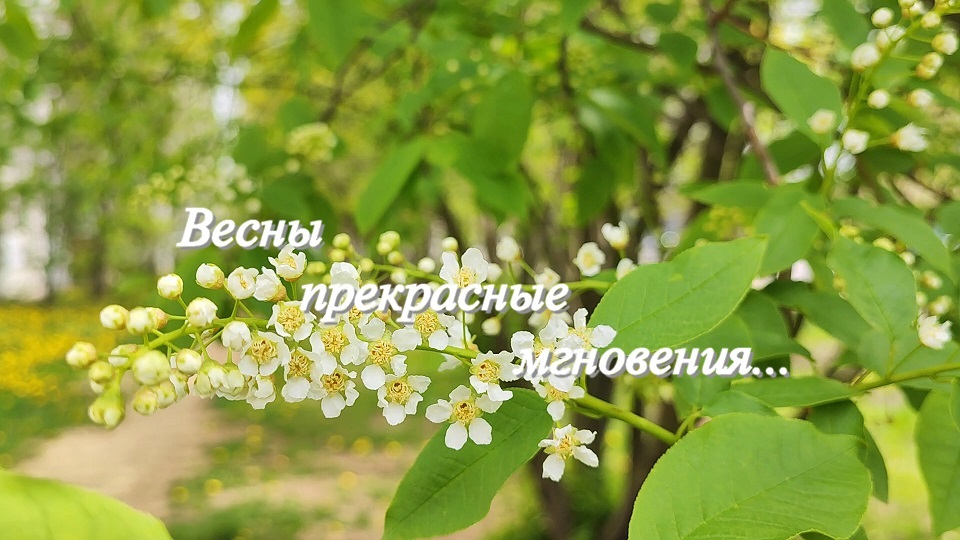 24 апреля 2022.