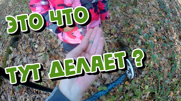 Поиск с металлоискателем и сбор грибов в лесу! Коп 2022