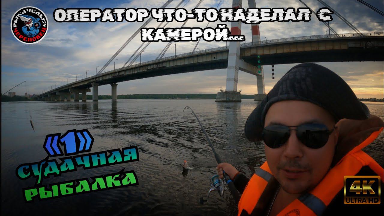 Открытие сезона по летней рыбалке 2024г.Щуки И Судаки на троллинг!Старые точки РАБОТАЮТ!р.Шексна!