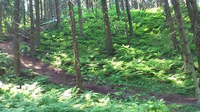 Юкки лонг 13-15