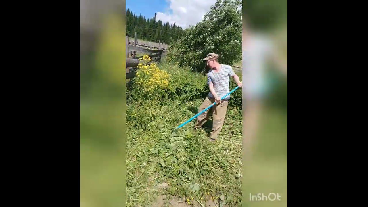 14 июня 2023 г.