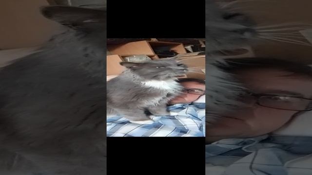 Семка-добрый котяра.