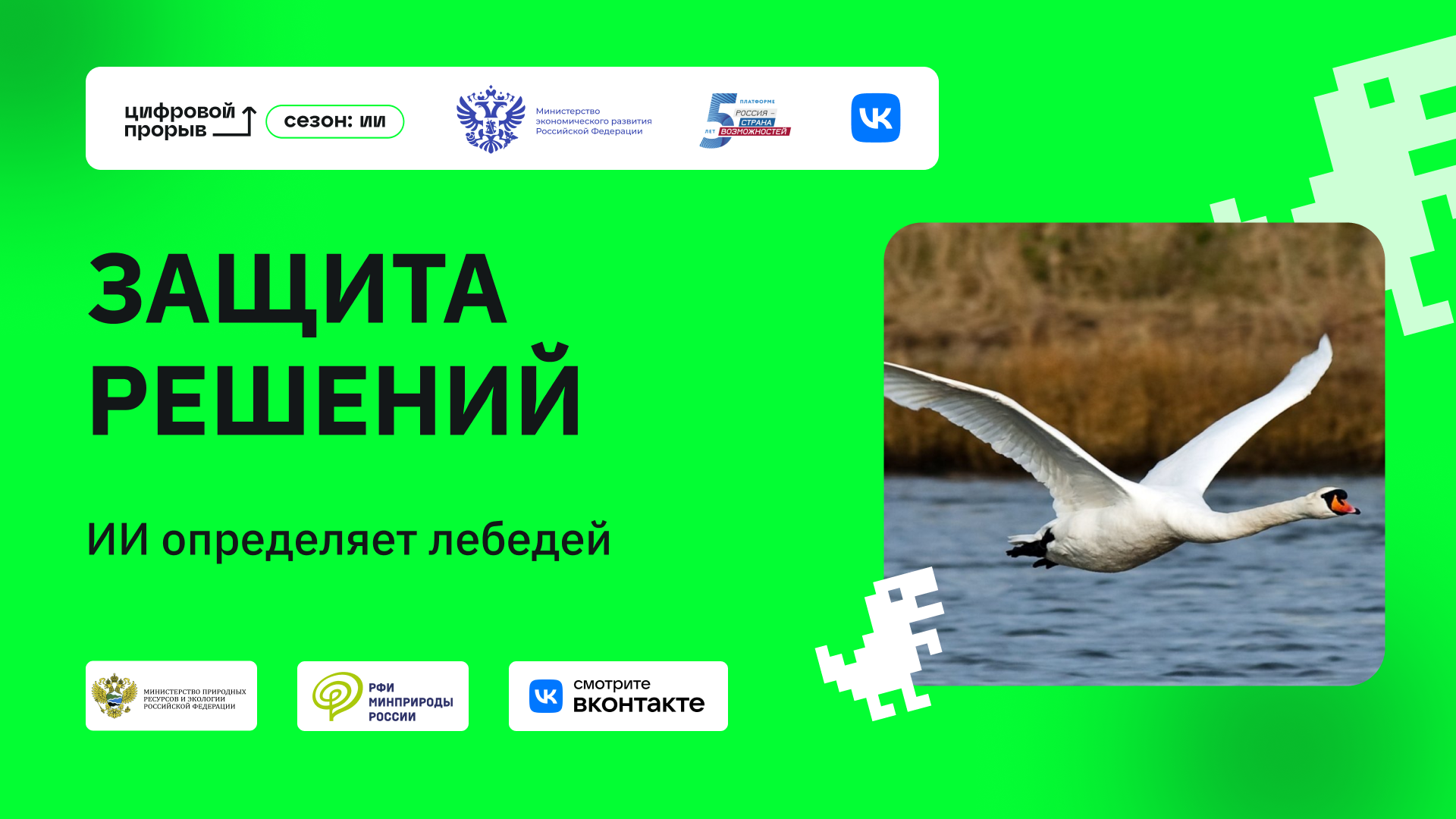 Кейс 4. Минприроды: ИИ определяет лебедей