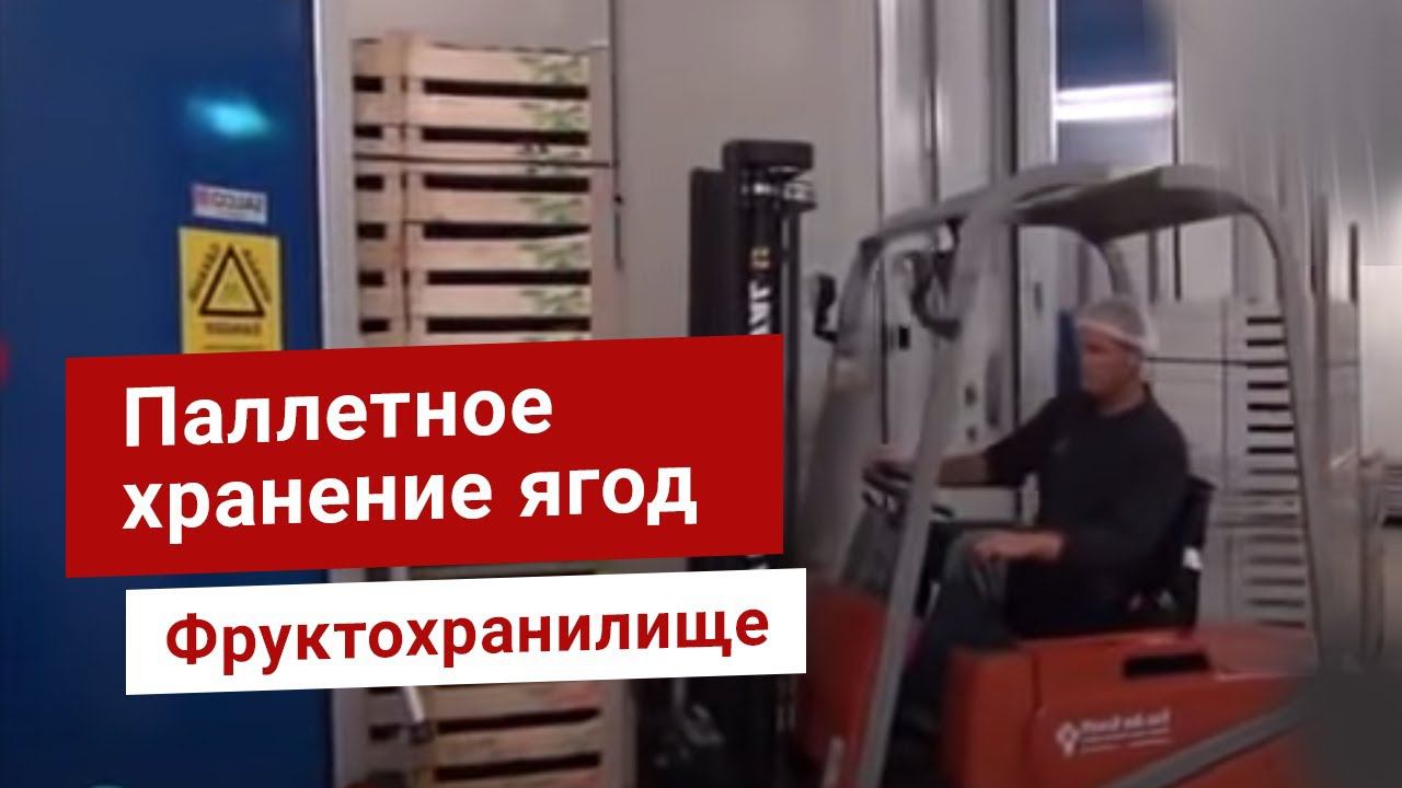 Оборудование для хранения ягод в РГС (регулируемой газовой среде). Хранилище вишни, смородины и т.п.