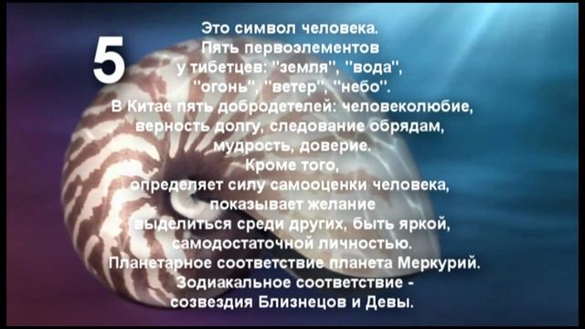 Магия чисел в математике (2013 год)