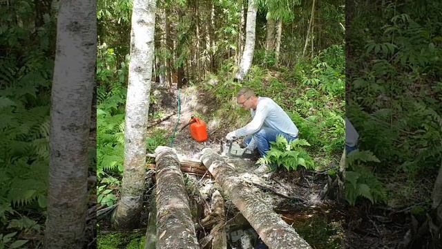 2022 - делаю мост 2