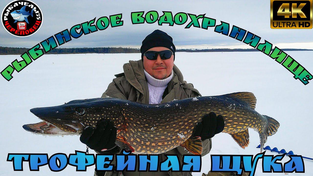 Зимняя Рыбалка в "4к" на ЖерлицЫ. На Рыбинском Водохранилище!!!