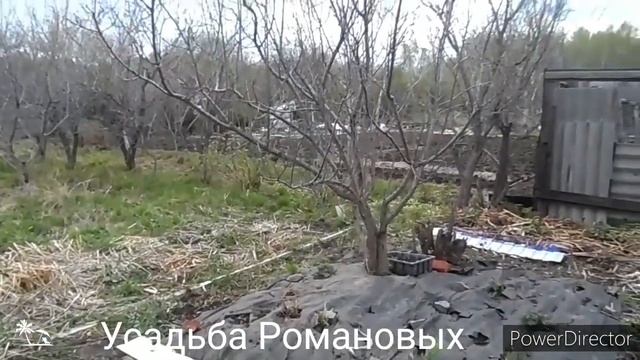 Обзор огорода,май 2019