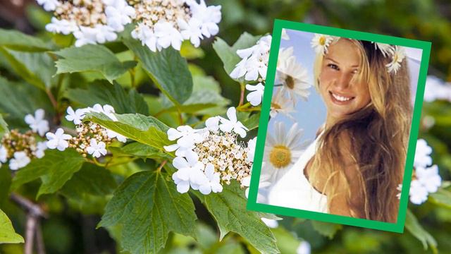 О том, о сём Ярослава и Алексей Давыдов Автор видео Нина Рудакова