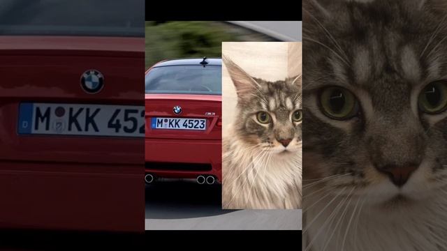 Марс едет на море анимация