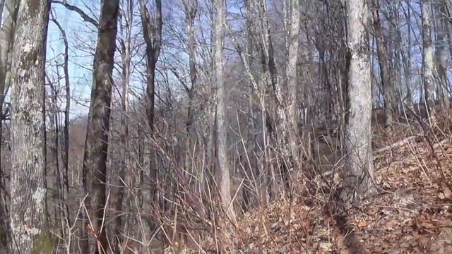 _07_03_2017_ПРОГУЛКА НА ГОРУ КУМА_ПЛАСТУНКА_СОЧИ.mp4