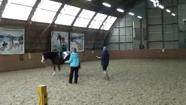 Соревнования "Кубок Деда Мороза 2013" (2013)