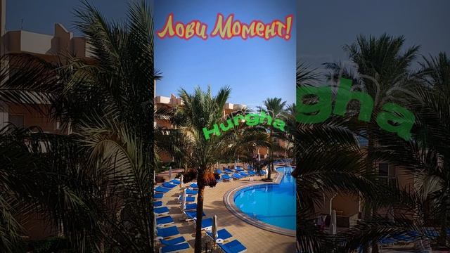 Египет Хургада Sea Star Beau Rivage Лови Момент! shorts