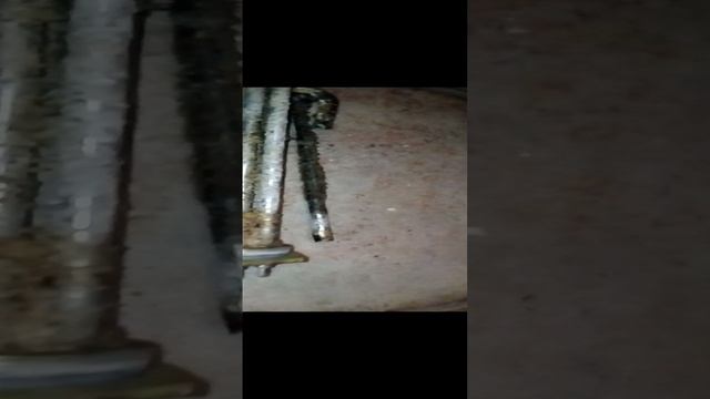 Ремонт парогенератора Паромакс 1