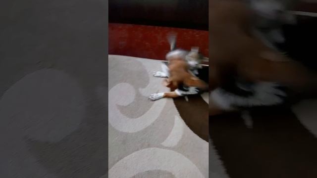 НАКА?#МТСДжуниор