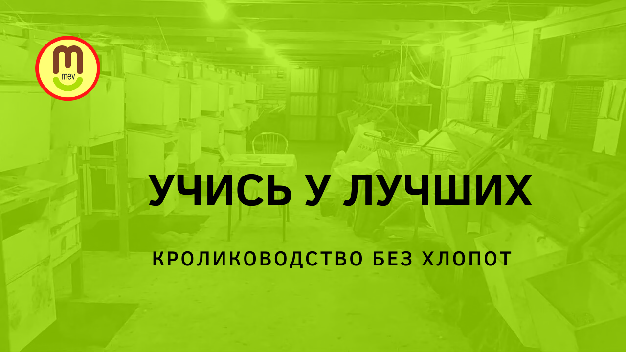 ??Прибыльное кролиководство. Реальные истории успеха. Субботняя встреча кролиководов. #МАКЛЯК