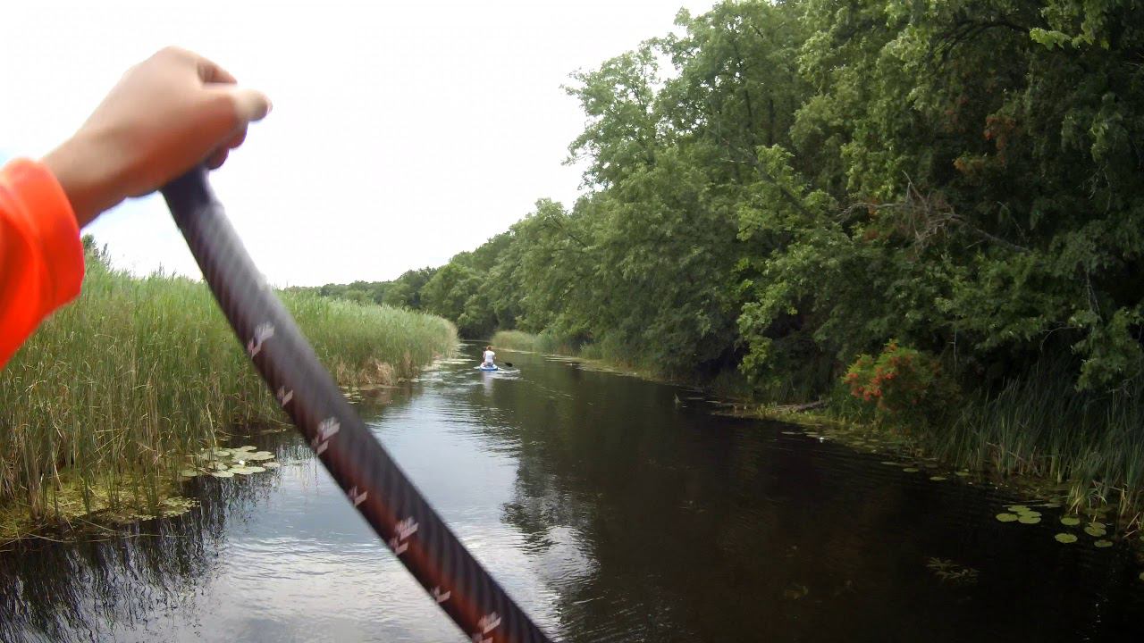 21 июня 2020 г.