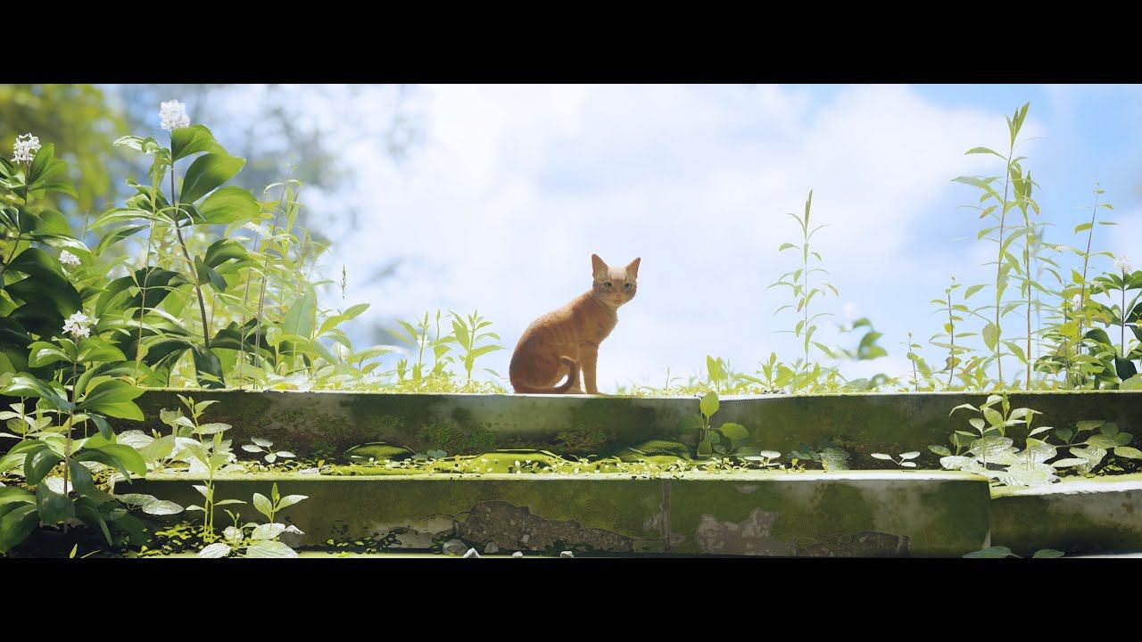 Stray #5 ФИНАЛ