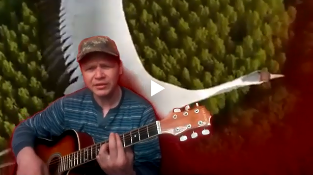 Далеко далеко журавли улетели