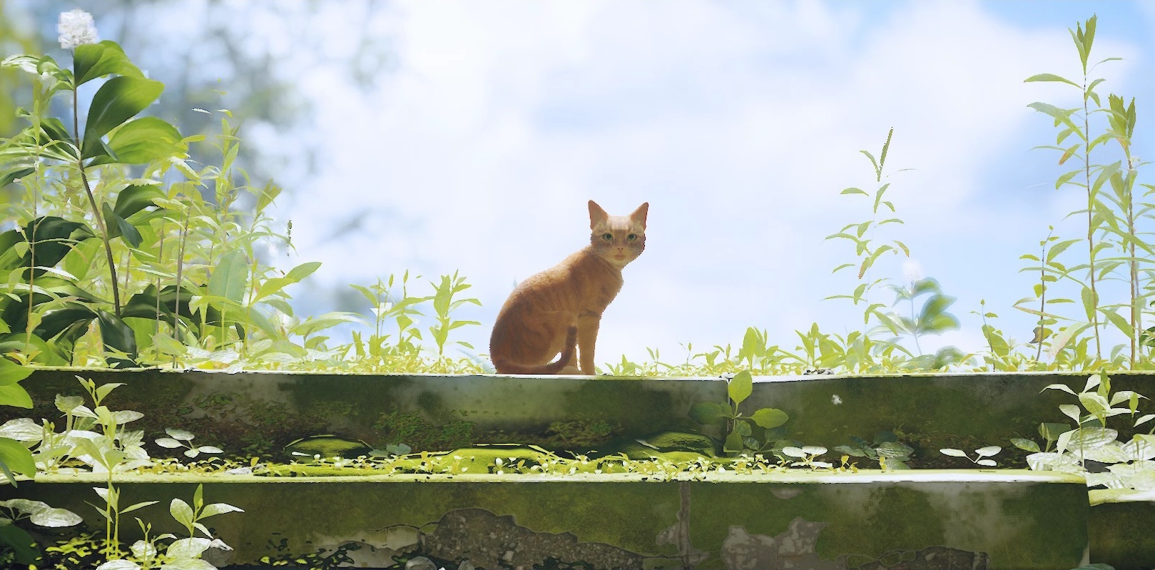 Stray - часть 7. Финал.