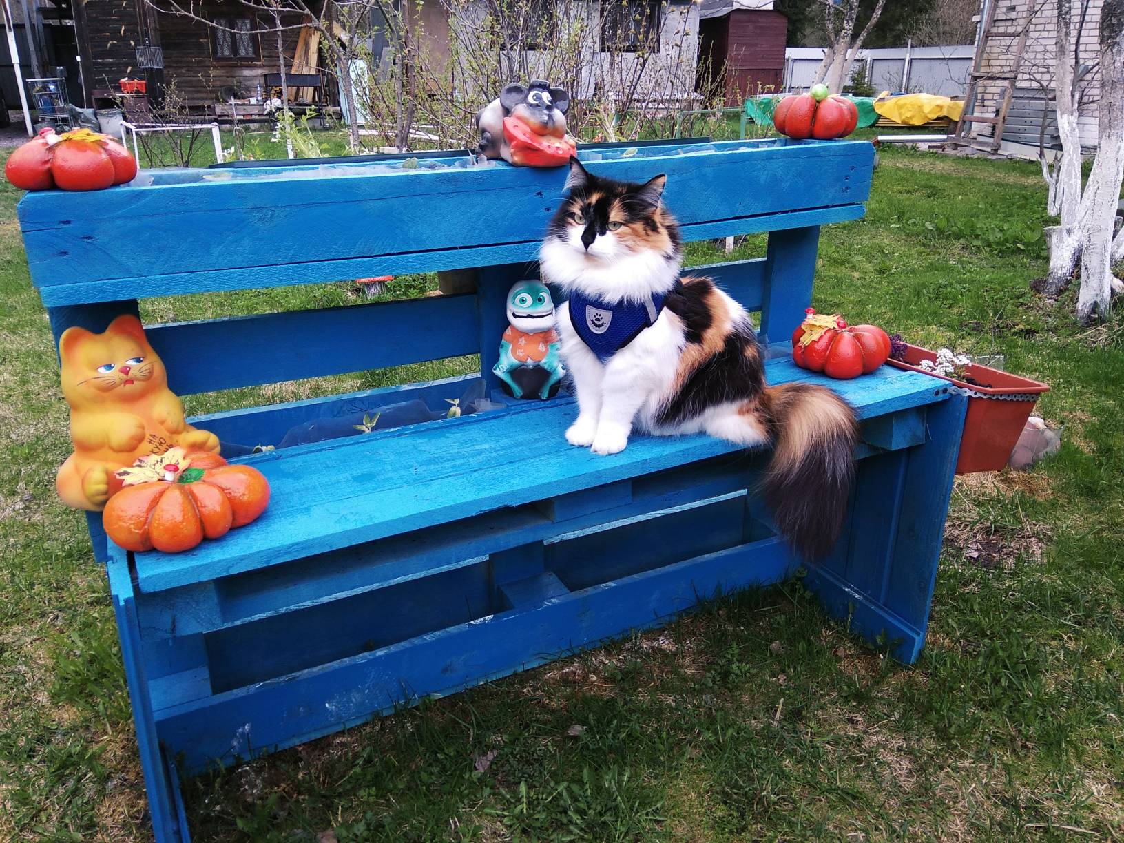 Скамейка-клумба из строительного поддона.