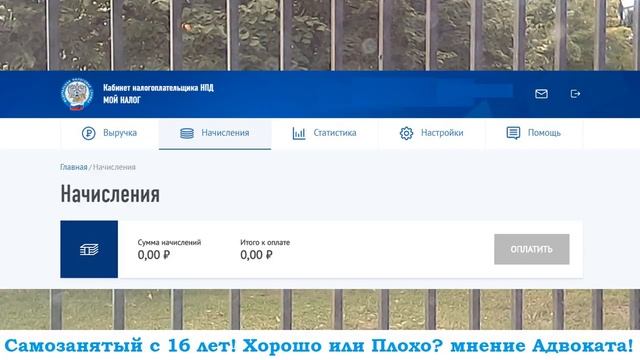 Быть самозанятым с 16 лет. Плюсы и минусы! Разбираем с адвокатом.